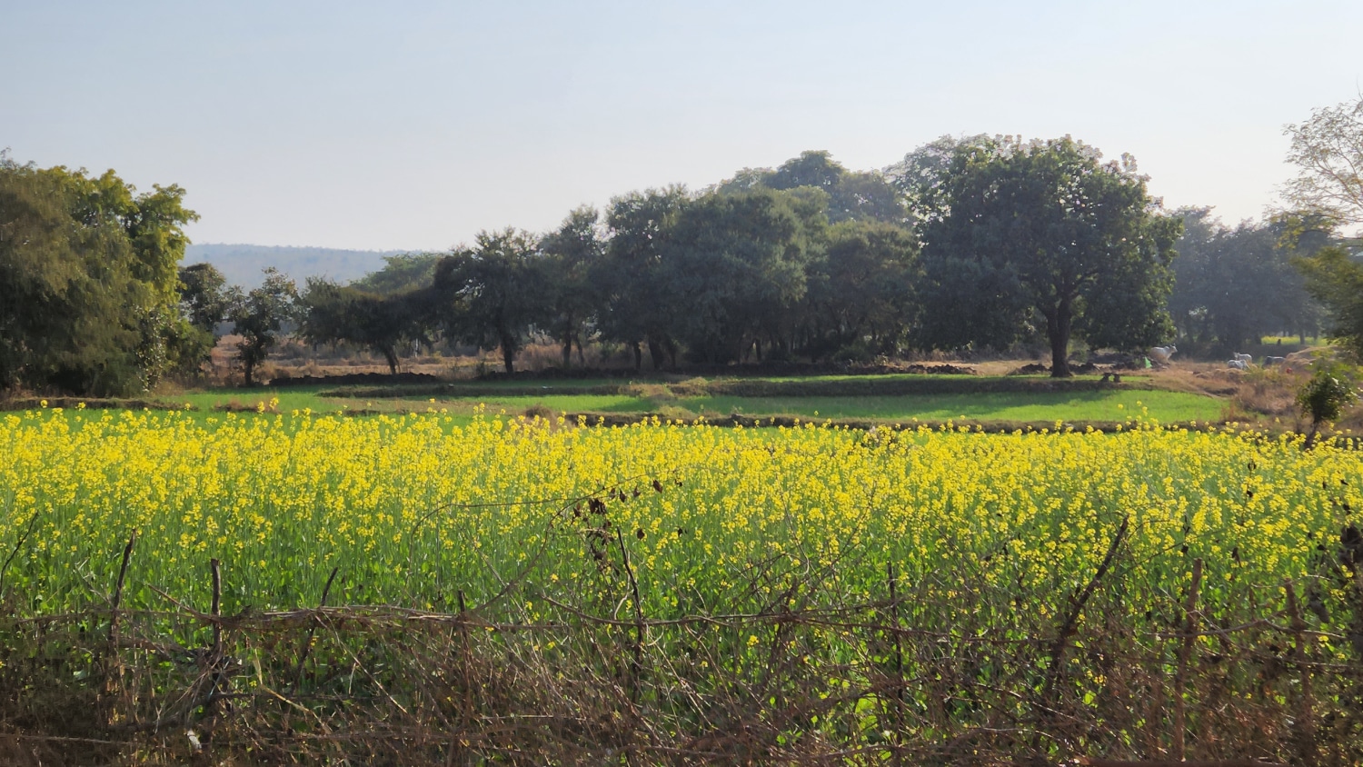 Discovering the realities and transformational journey of people in ...